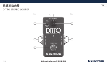 TC Electronic DITTO STEREO LOOPER Guitar and Bass クイックスタートガイド | Manualzz