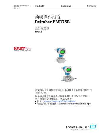Endres+Hauser Deltabar PMD75B quick guide | Manualzz