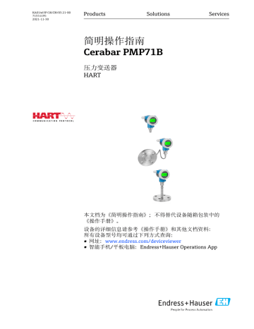 Endres+Hauser Cerabar PMP71B quick guide | Manualzz