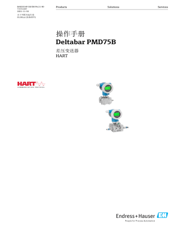 Endres+Hauser Deltabar PMD75B 取扱説明書 | Manualzz