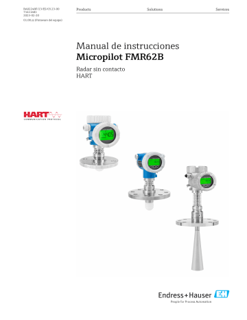 Endres+Hauser Micropilot FMR62B Instrucciones de operación | Manualzz