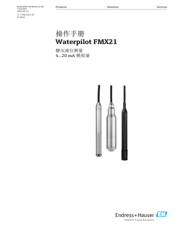 Endres+Hauser Waterpilot FMX21 取扱説明書 | Manualzz