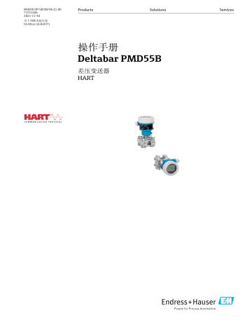 Endres+Hauser Deltabar PMD55B 取扱説明書 | Manualzz
