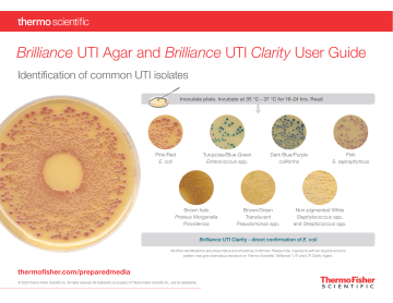Thermo Fisher Scientific Brilliance UTI & UTI Clarity User Guide | Manualzz