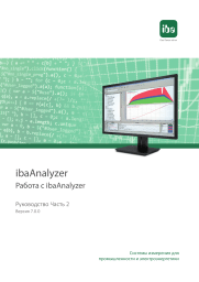 IBA ibaAnalyzer - Owner's manual