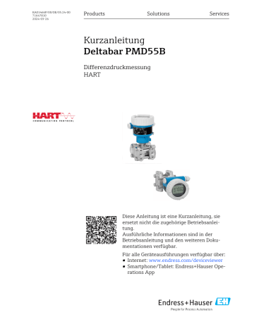 Endres+Hauser Deltabar PMD55B quick guide | Manualzz